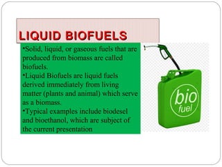 LIQUID BIOFUEL PRODUCTION IN NIGERIA: STATUS AND TOOLS FOR ...
