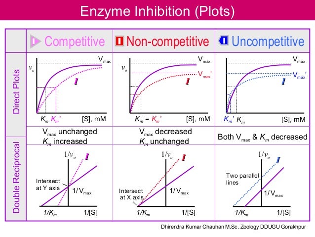 Enzyme inhibition mechanism