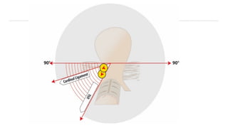 ENZIAN-Endometriosis | PDF