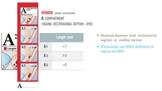 ENZIAN-Endometriosis | PDF