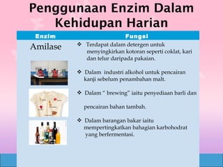 Enzim | PPT