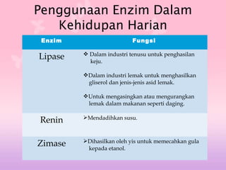 Enzim | PPT