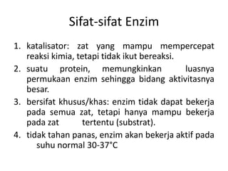 Enzim | PPT
