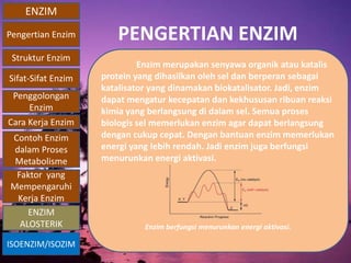 Enzim | PPTX