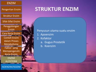 Enzim | PPTX