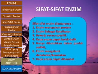 Enzim | PPTX