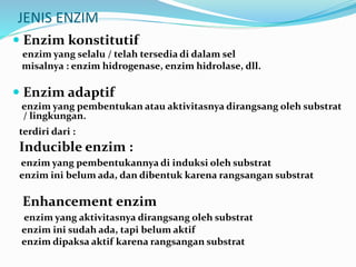 Enzim | PPTX