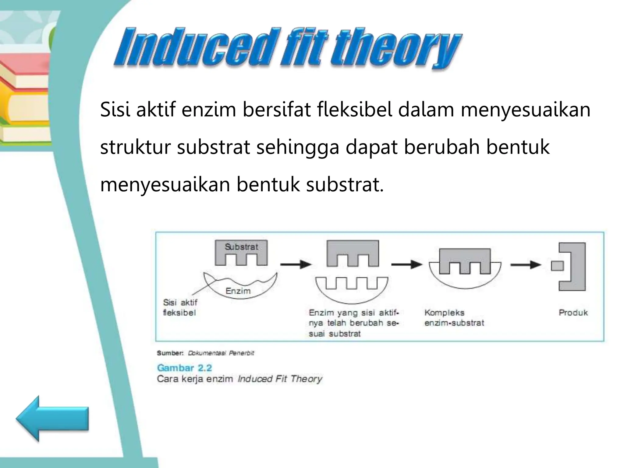 klasifikasi enzim dan fungsinya dan mekanisme kerjanya | PPT