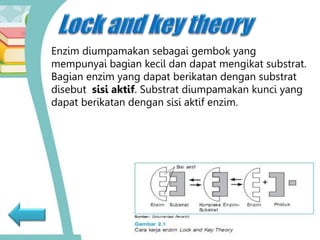 klasifikasi enzim dan fungsinya dan mekanisme kerjanya | PPT