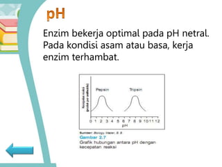 klasifikasi enzim dan fungsinya dan mekanisme kerjanya | PPT