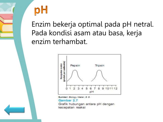 klasifikasi enzim dan fungsinya dan mekanisme kerjanya | PPT