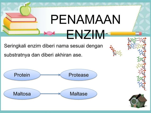 klasifikasi enzim dan fungsinya dan mekanisme kerjanya | PPT