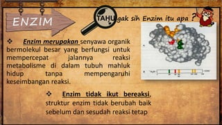 Enzim (Biokimia) STKIP Banjarmasin | PPTX