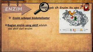Enzim | PPTX