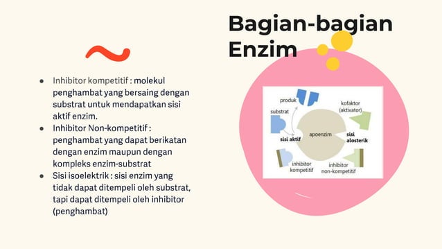 ENZIM, PROTEIN, DAN MANFAATNYA BAGI KEHIDUPAN.pptx | Free Download