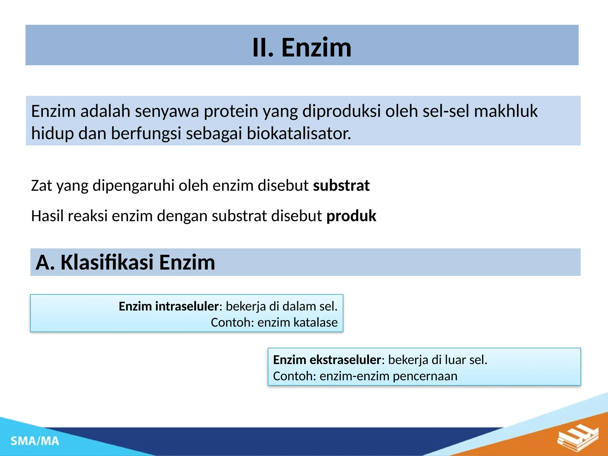 ENZIM DAN METABOLISME YANG BEKERJA PADA SEL.pptx