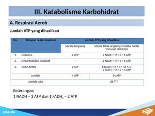 ENZIM DAN METABOLISME YANG BEKERJA PADA SEL.pptx