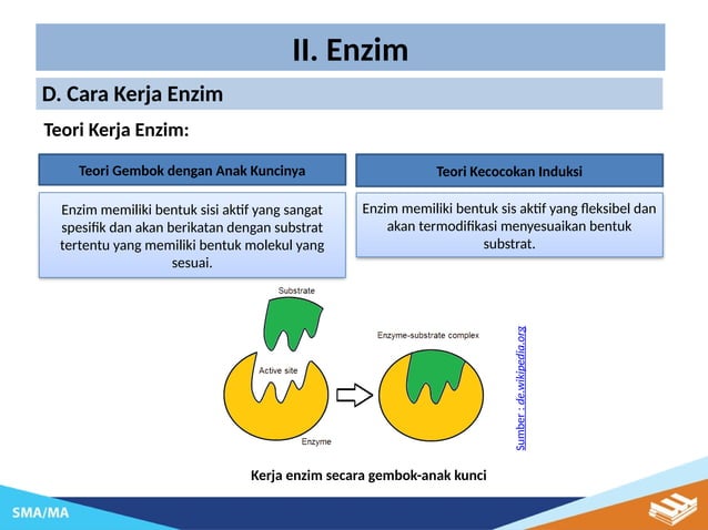 ENZIM DAN METABOLISME YANG BEKERJA PADA SEL.pptx