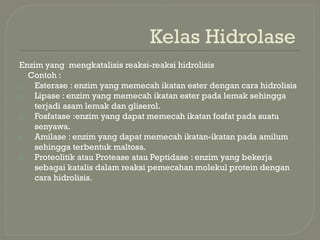 enzim pada tubuh manusia (struktur, cara kerja).pptx