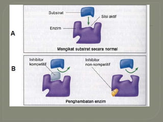 enzim pada tubuh manusia (struktur, cara kerja).pptx