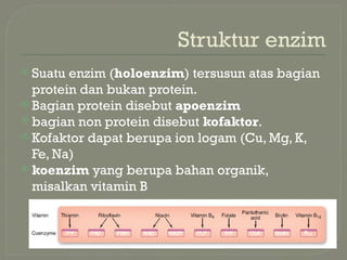enzim pada tubuh manusia (struktur, cara kerja).pptx