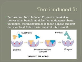 enzim pada tubuh manusia (struktur, cara kerja).pptx