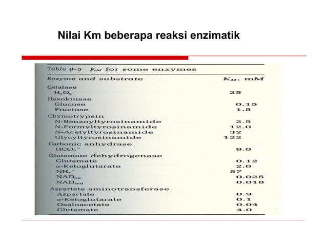 Enzim Enzim Enzim Enzim Enzim Enzim Enzim Enzim.ppt