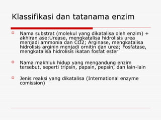 Enzim Enzim Enzim Enzim Enzim Enzim Enzim Enzim.ppt
