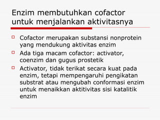 Enzim Enzim Enzim Enzim Enzim Enzim Enzim Enzim.ppt