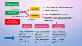Presentasi BIOLOGI : metabolisme tubuh manusia (ENZIM) | PDF