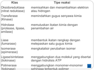 Enzim revisi terbaru | PPT
