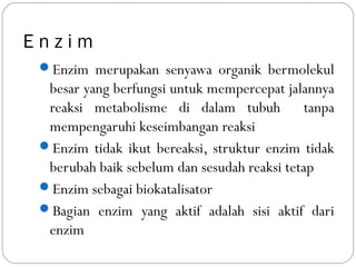 Enzim revisi terbaru | PPT