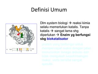Enzim | PPT