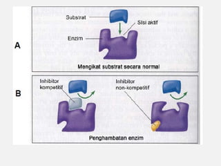 pengertian, struktur, reaksi, penamaan, enzim | PPT