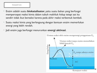 pengertian, struktur, reaksi, penamaan, enzim | PPT