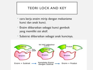 pengertian, struktur, reaksi, penamaan, enzim | PPT