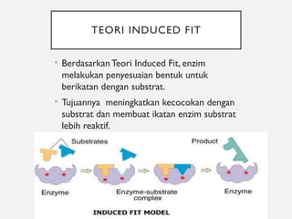 pengertian, struktur, reaksi, penamaan, enzim | PPT