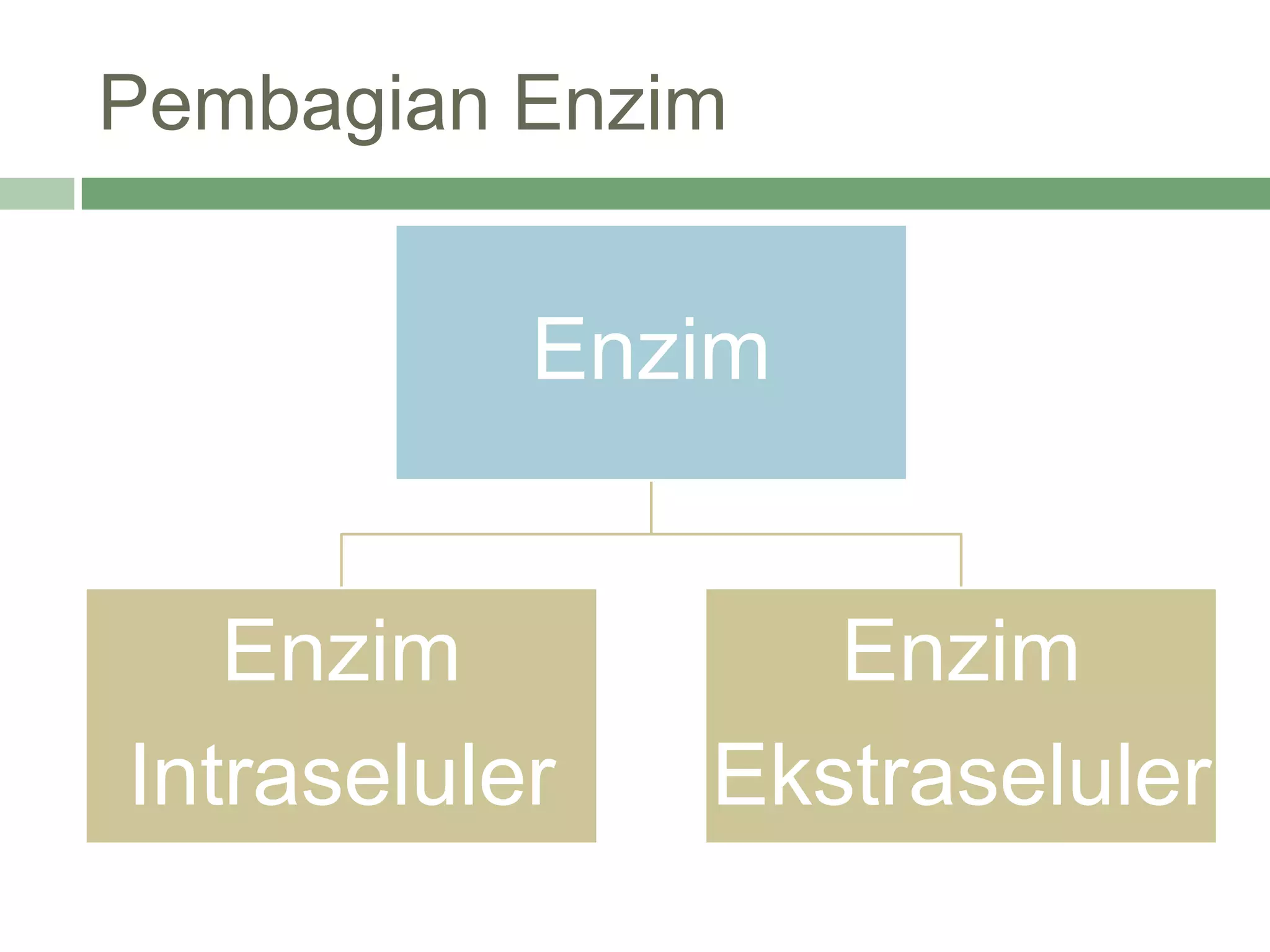 Enzim adha fatin xii ipa-2 | PPT