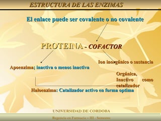Enzimas | PPT
