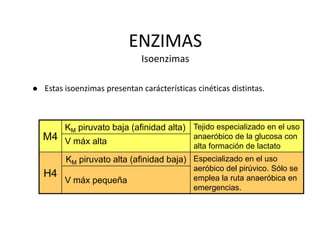 Enzimas | PPTX