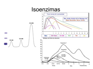 Enzimas | PPT