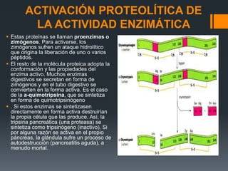 ENZIMAS REGULACION DE ACTIVIDADES | PPTX