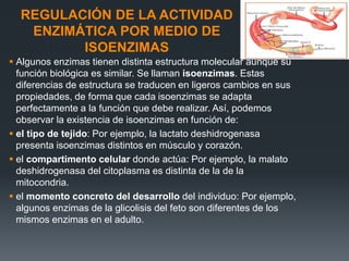 ENZIMAS REGULACION DE ACTIVIDADES | PPTX