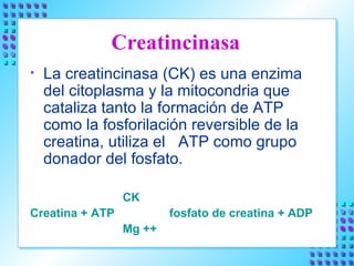 ENZIMAS CARDIACAS I | PPT