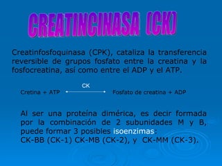 ENZIMAS CARDIACAS II | PPT