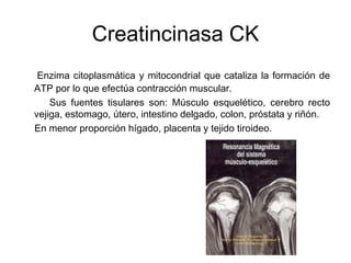 ENZIMAS CARDIACAS III | PPT