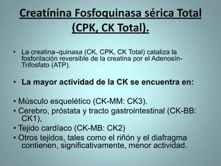 Enzimas cardiacas | PPTX