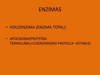 ENZIMAS quimica biologica. ..,....,.,.., | PPT