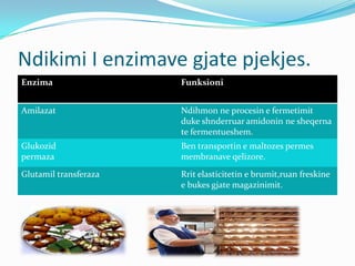 Enzimat | PPTX