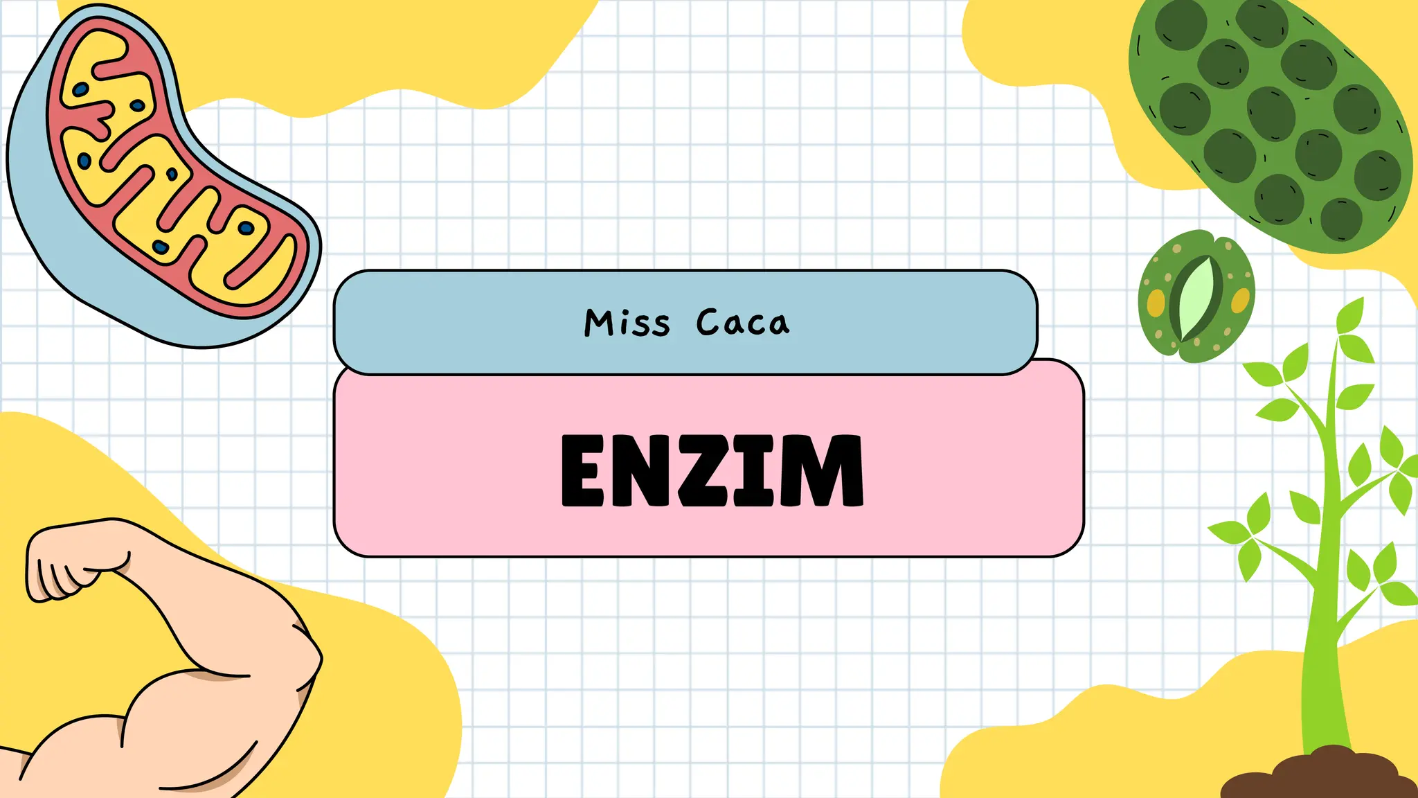 MATERI ENZIM - Biologi Kurikulum Indonesia | PDF